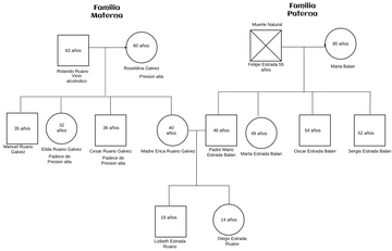 Common Genogram Sample | Visual Paradigm User-Contributed Diagrams ...